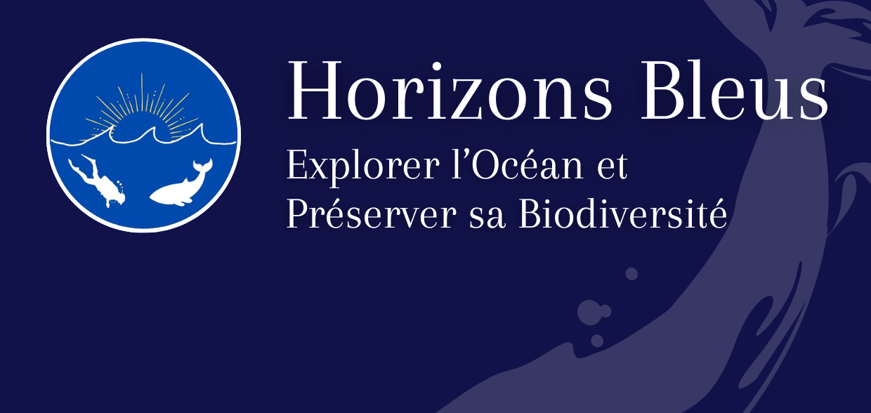 « HORIZONS BLEUS » : Des étudiants de VetAgro Sup organisent un congrès ...